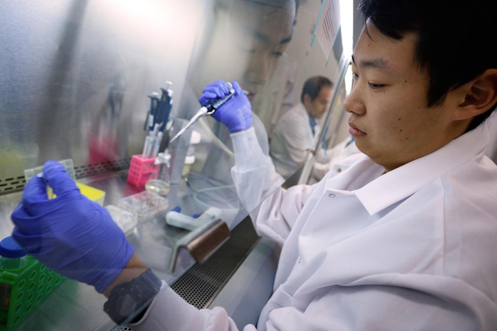 Duncan NRI Human Stem Cell and Neuronal Differentiation Core | Texas ...