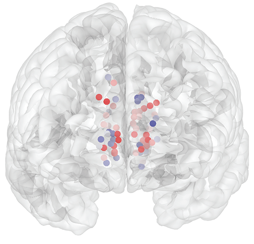 A novel and unique neural signature for depression revealed | Texas ...
