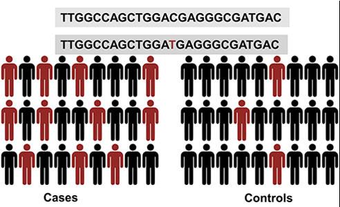 Fruit flies can help solve complex genetic diseases | Texas Children's