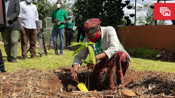 Texas Children’s Global Health partners in Malawi plant and distribute ...