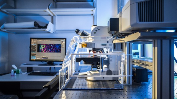 Mutations in ABL1, a known leukemia gene, cause a new developmental ...