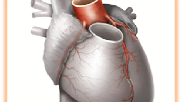 Coronary Artery Anomalies Program Conditions We Treat | Texas Children's