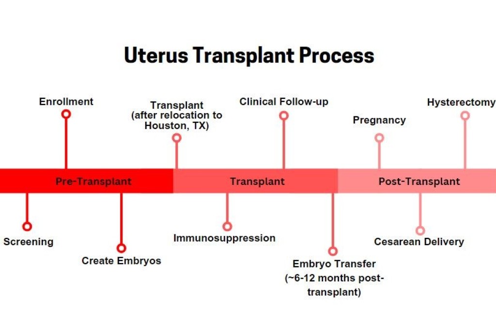 Uterus Transplant Research Program | Texas Children's