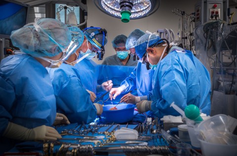 Pediatric Transplant Center Quality and Outcomes | Texas Children's