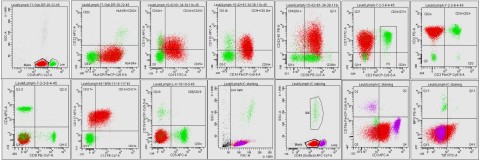Flow Cytometry Core Laboratory | Texas Children's