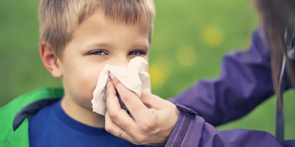 Nosebleeds in Kids 101: causes, what it is, how to stop | Texas Children's