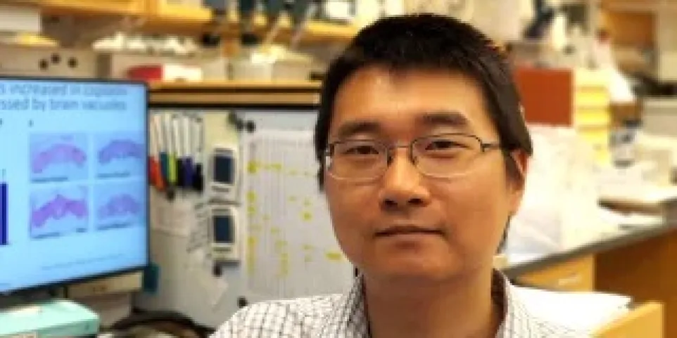 Dr. Matthew Torre receives FY26 Chao Physician-Scientist Award | Texas ...