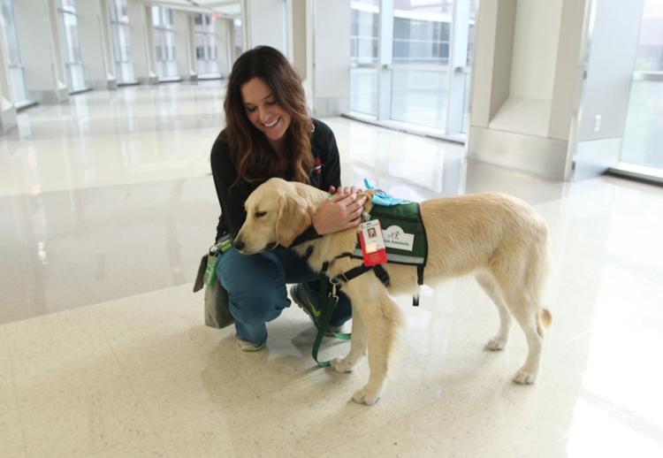 Texas Children’s Hospital’s First Therapy Dog and Her Child Life ...