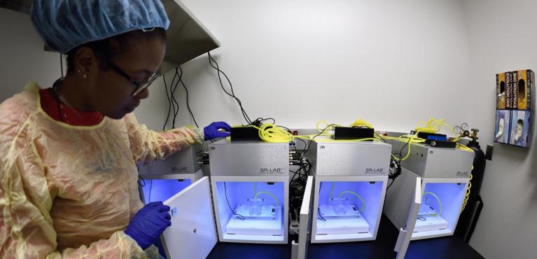 Duncan NRI Rodent Neurobehavior Core | Texas Children's