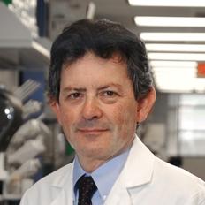 Malcolm K. Brenner, MD, PhD | Texas Children’s