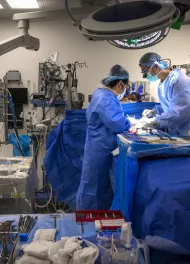 Pediatric Urology & Urologists | Texas Children's